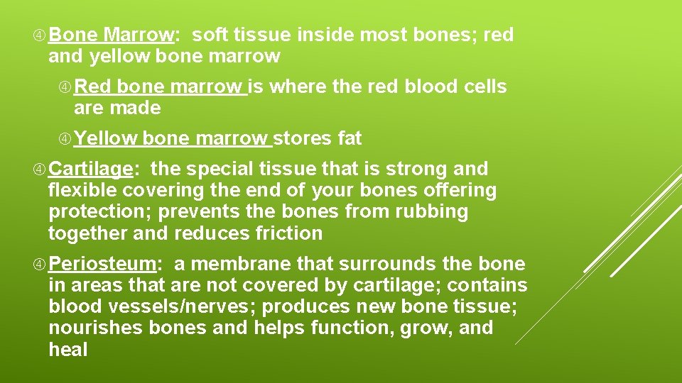 SKELETAL SYSTEM COMPARE At birth humans have 270