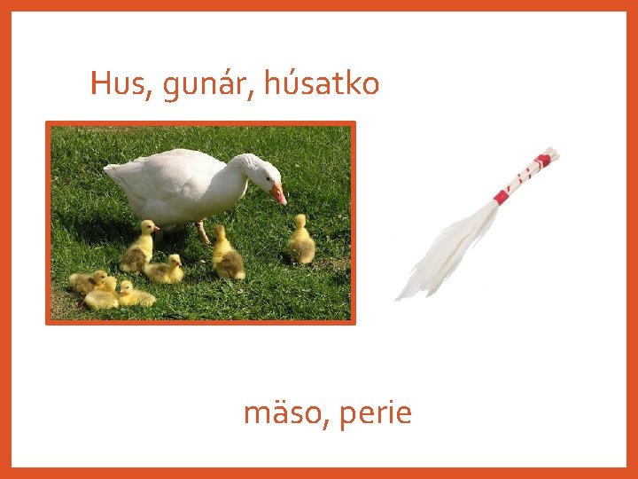 CHOV IVOCCHOV A ITOK Z NICH 2 ronk