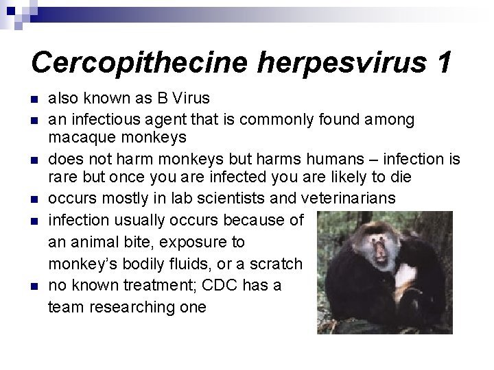 Introduction to Bacteria and Viruses Bacteria and Viruses