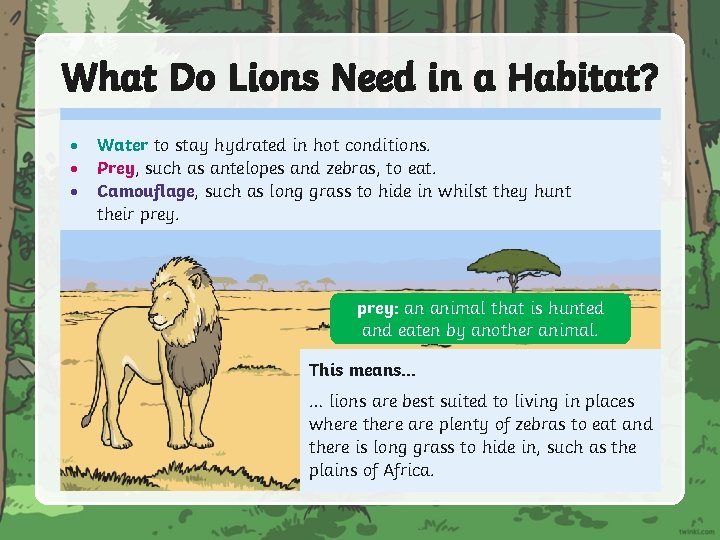 Animal Habitats A habitat is a natural environment