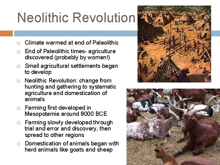 PALEOLITHIC NEOLITHIC AND RIVER VALLEY SOCIETIES Mr Robert