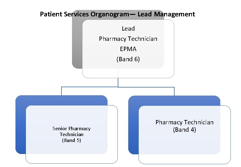 Pharmacy OrganogramSenior Management Chief Pharmacist Band 8 D