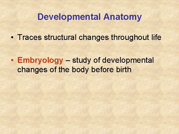 The Human Body Anatomical Responses Regions Directions and