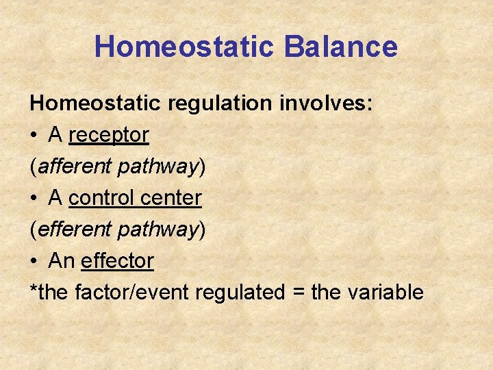 The Human Body Anatomical Responses Regions Directions and
