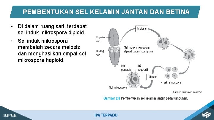 BAB 2 SISTEM REPRODUKSI PADA TUMBUHAN DAN HEWAN