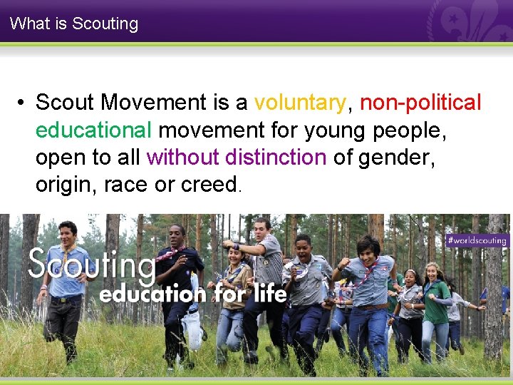 Youth Activism Through Scouting Scouts Creating a better