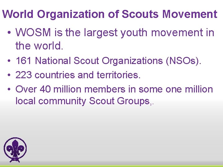 Youth Activism Through Scouting Scouts Creating a better