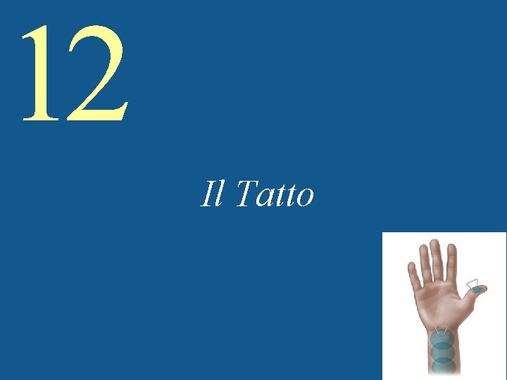 12 Il Tatto 12 Touch Introduzione La fisiologia