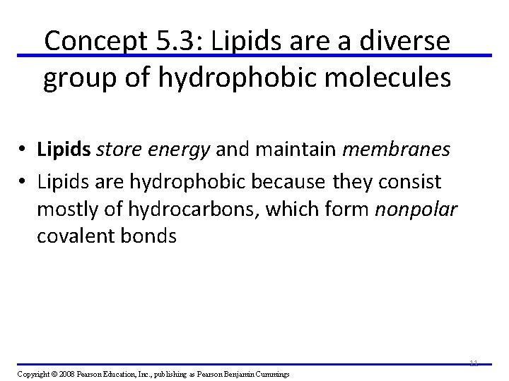 Cohesion Collectively hydrogen bonds hold water molecules together
