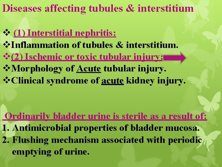 Diseases affecting tubules interstitium v 1 Interstitial nephritis