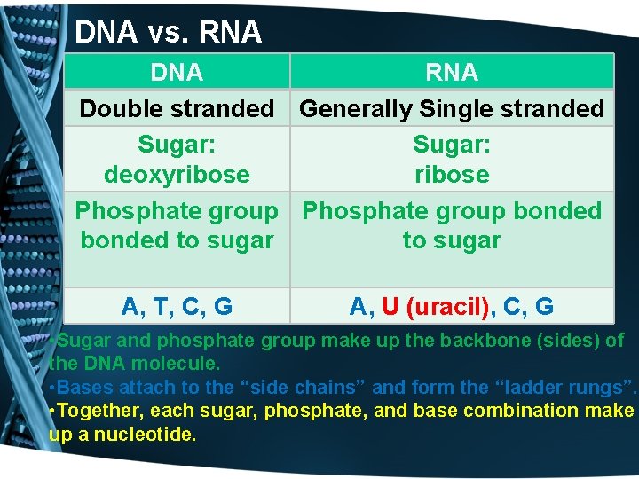 DNA and RNA Objectives 8 0 Identify the