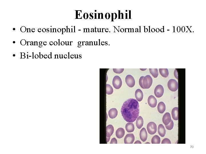 Examination of Peripheral Blood Smear Dr S Homathy