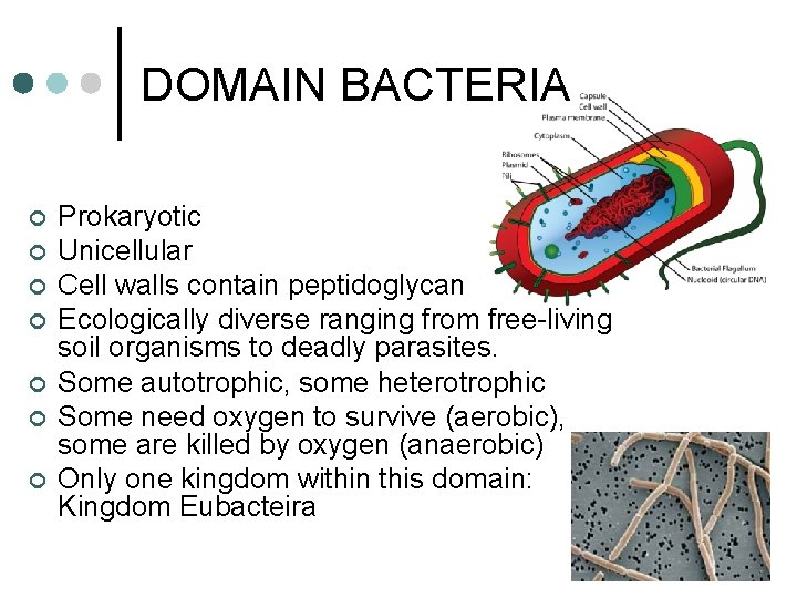 Unity and Diversity of Living Things Survey of