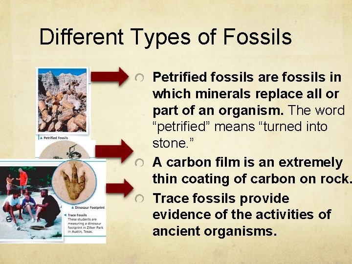 1 Describe in 3 4 steps how fossils