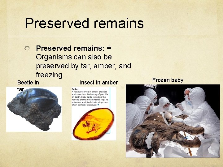 1 Describe in 3 4 steps how fossils