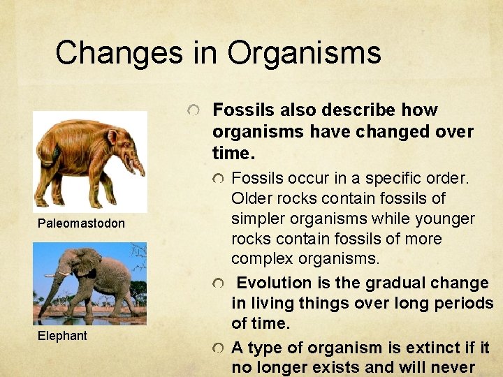 1 Describe in 3 4 steps how fossils