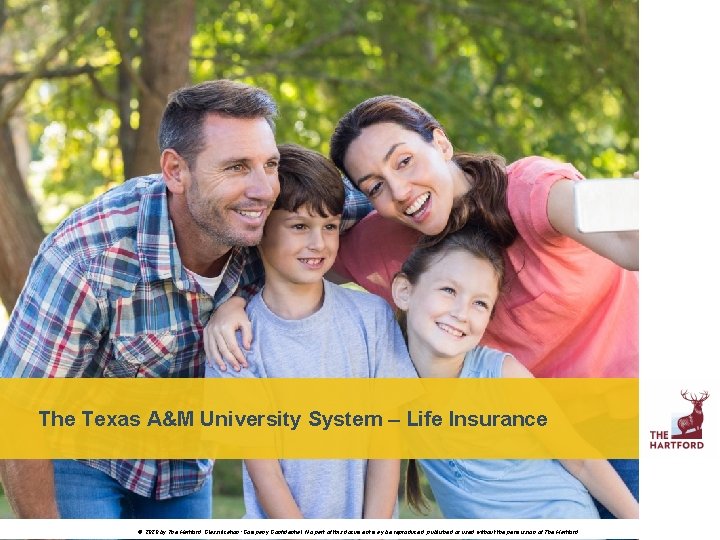 The Texas AM University System Life Insurance 2020