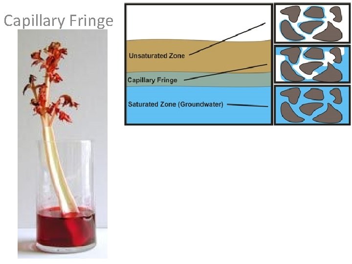 Do Now Begin DO NOW Word Match Watercycling