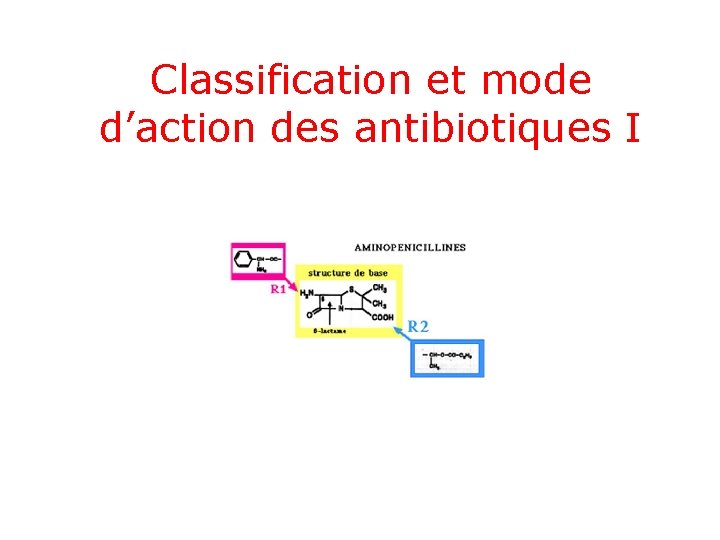 Classification et mode daction des antibiotiques I I