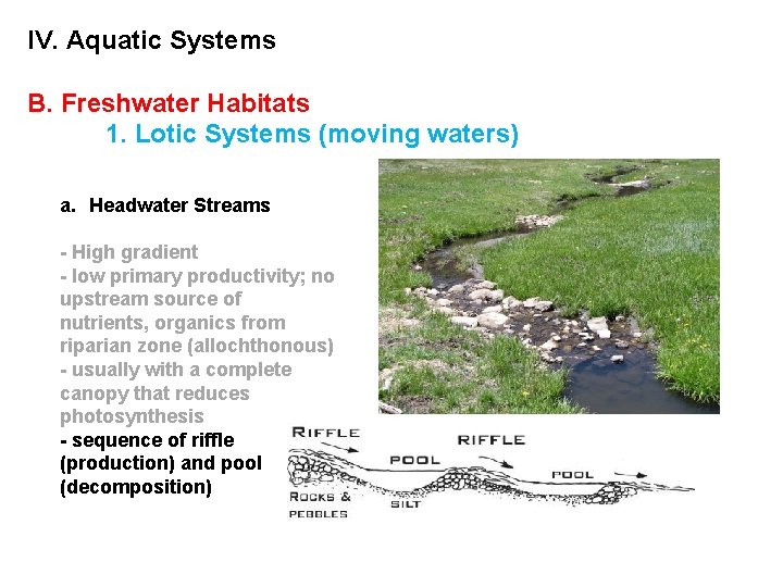 Climate and Biomes IV Aquatic Systems Climate and