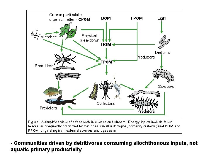 Climate and Biomes IV Aquatic Systems Climate and
