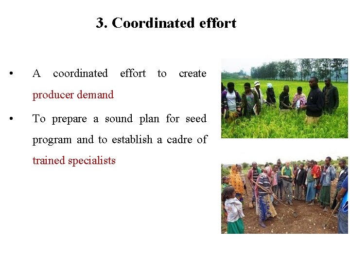 Chapter 2 Development of seed program Outline Seed