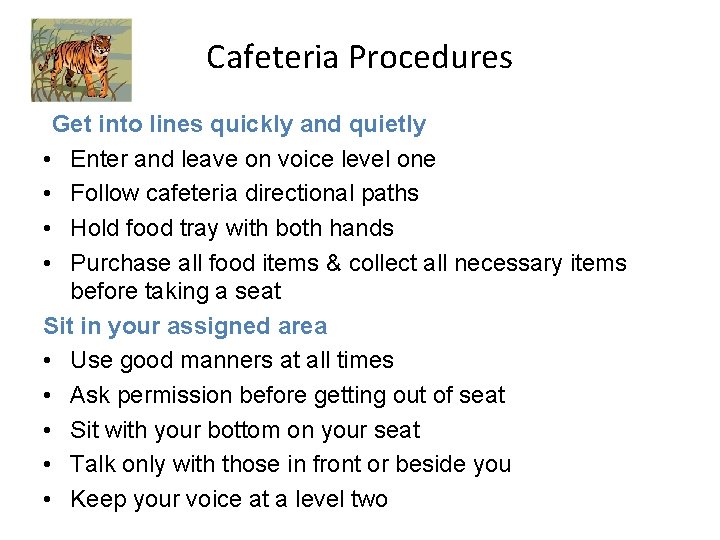 TIGER NATION Mr Gibson 3 rd Grade Class