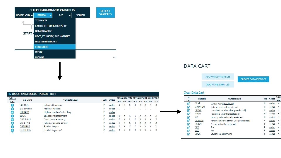 Great public data sources with examples of social
