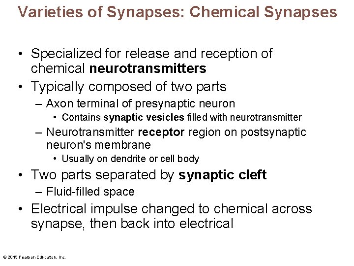 Power Point Lecture Slides prepared by Barbara Heard