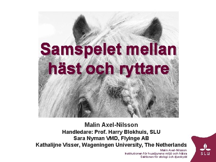 Samspelet mellan hst och ryttare Malin AxelNilsson Handledare