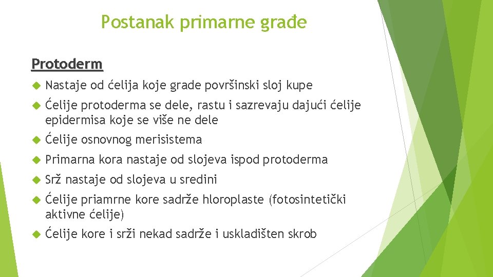 STABLO Uopteno o stablu v Vegetatini biljni organ