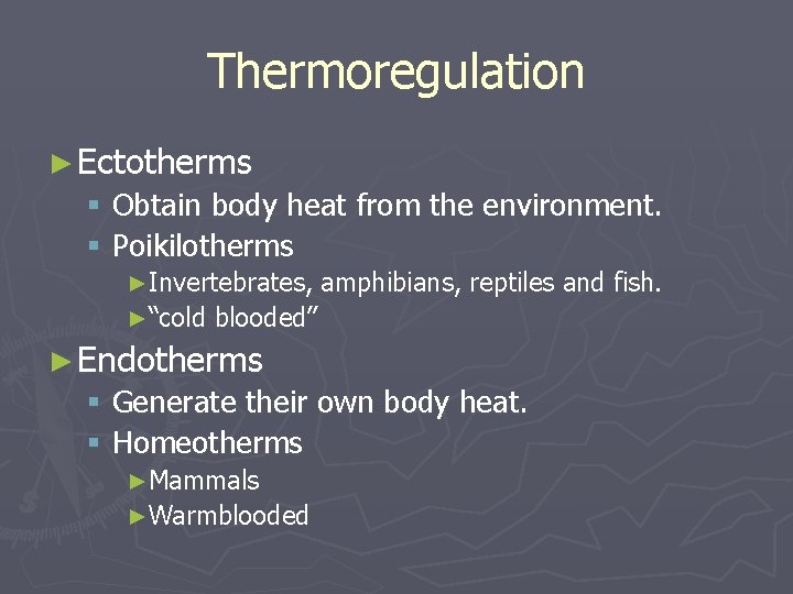 Animal Structure and Function Thermoregulation Ectotherms Obtain body