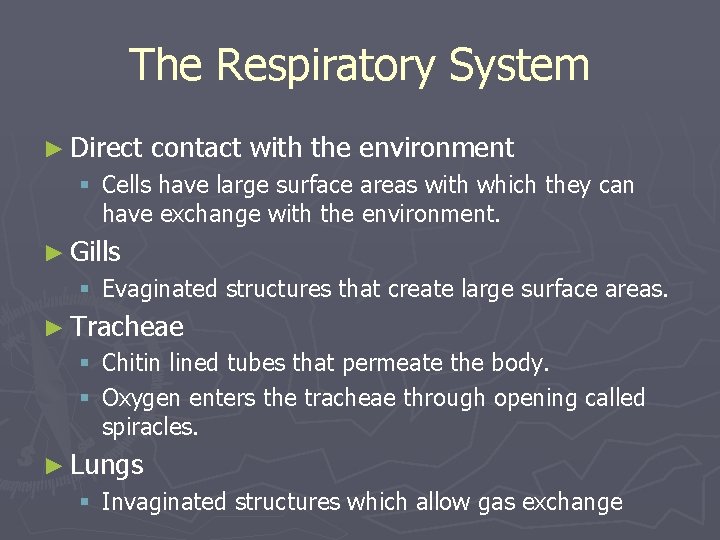 Animal Structure and Function Thermoregulation Ectotherms Obtain body