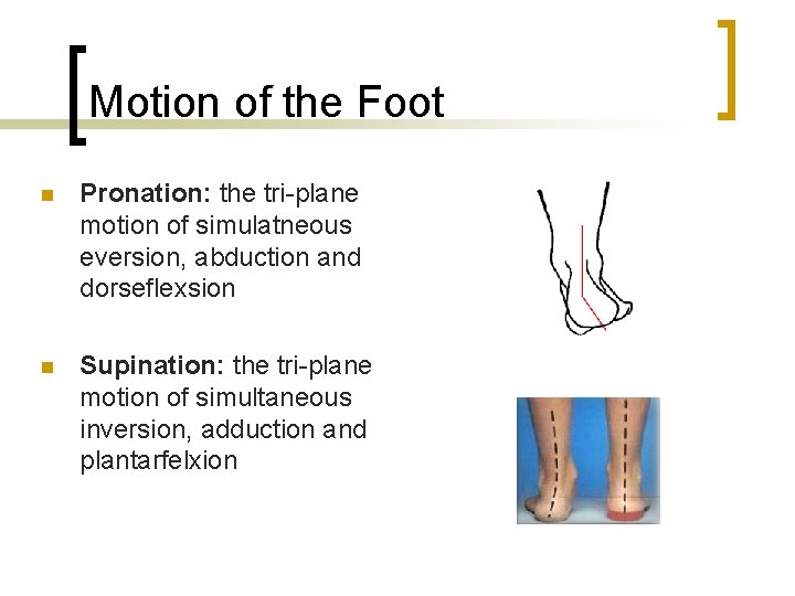 Running Shoe Development Daniel Thomas Michael Cannamela Brandon