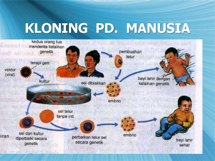 BIOTEKNOLOGI Ilmu yang menerapkan prinsipprinsip biologi dan rekayasaan