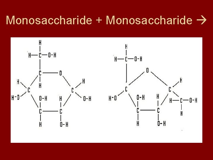 Biochemistry To be used with Biochemistry Guided Notes