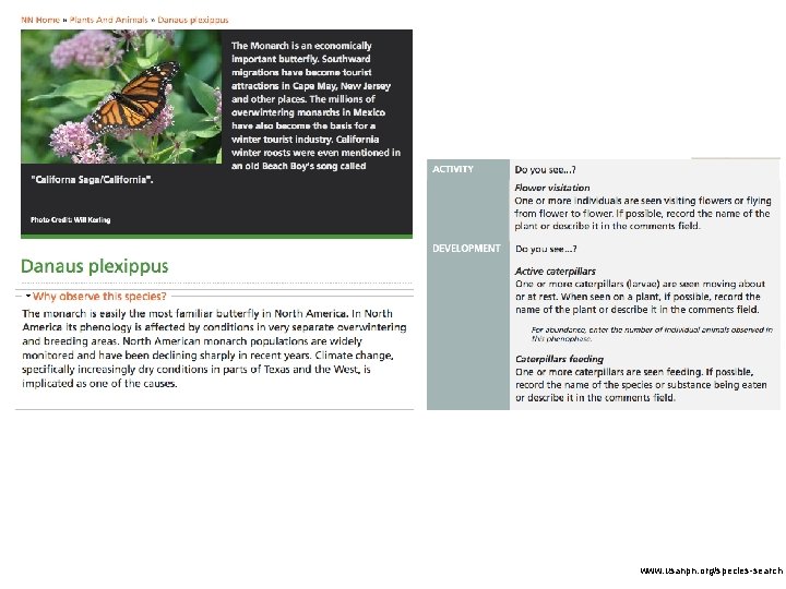 Arizona Insect Festival 2015 Activities and table layout