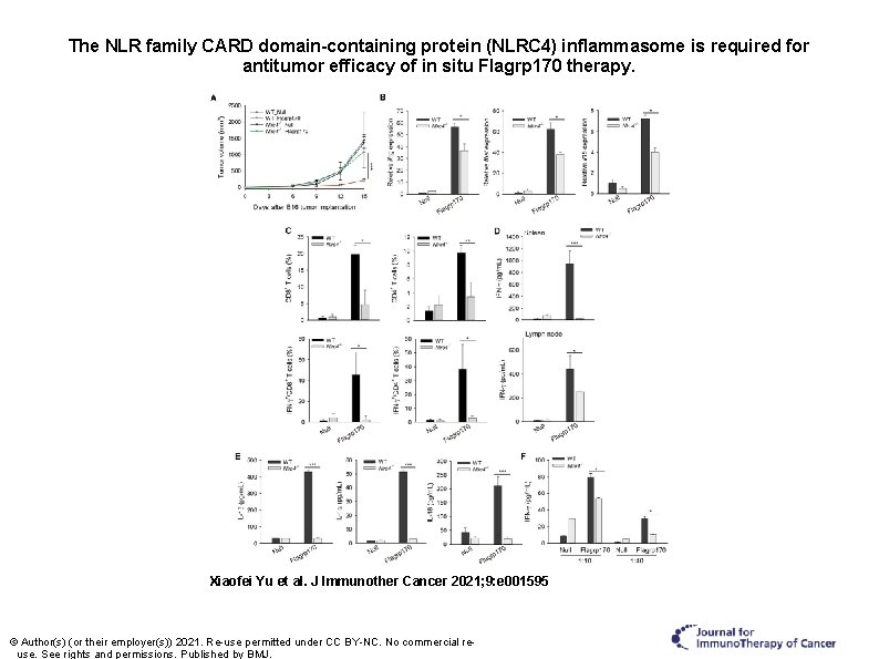 Immunologically programming the tumor microenvironment induces the pattern