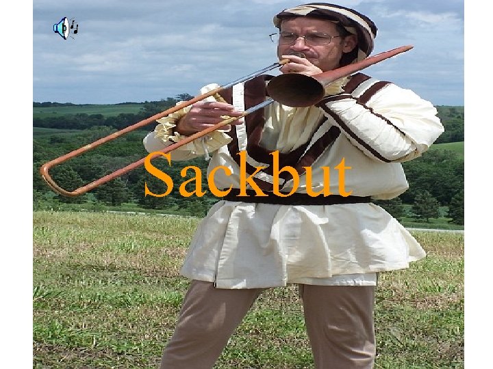 Brass instruments in the Renaissance By Brieann Nathan