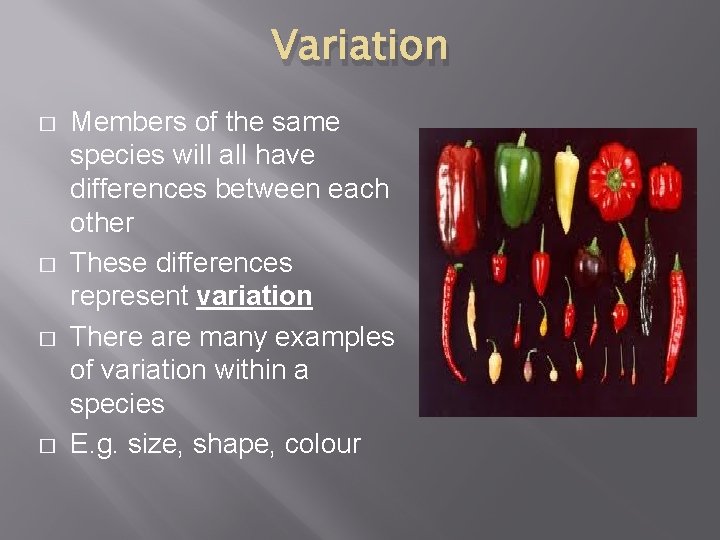 SECTION 5 VARIATION National 4 5 Multicellular Organisms