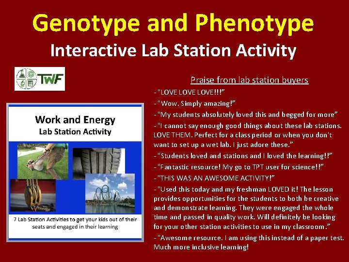 Genotype and Phenotype Interactive Lab Station Activity Praise
