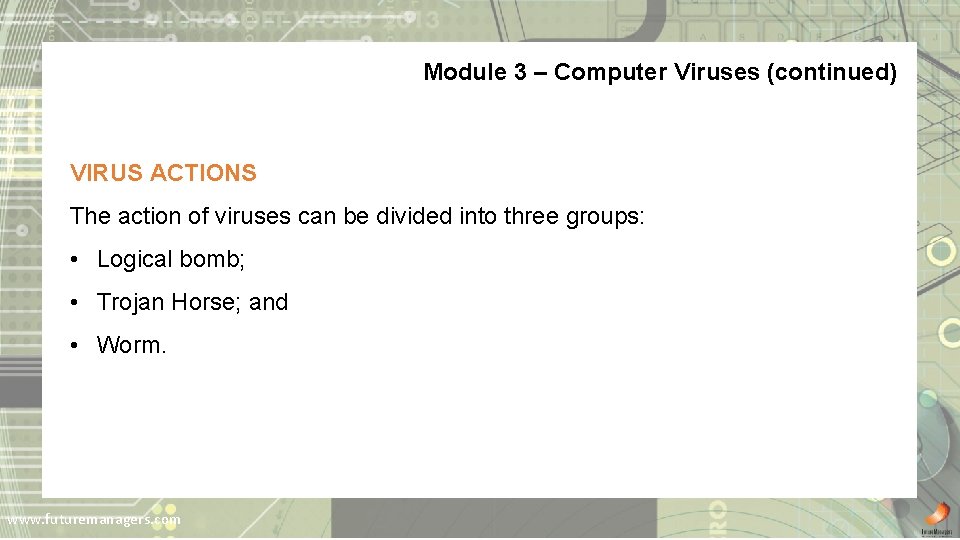 Computer Practice N 6 Module 1 Information Systems