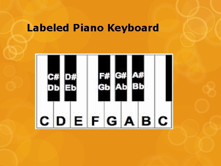 How Music Works Chapters 3 6 The Four