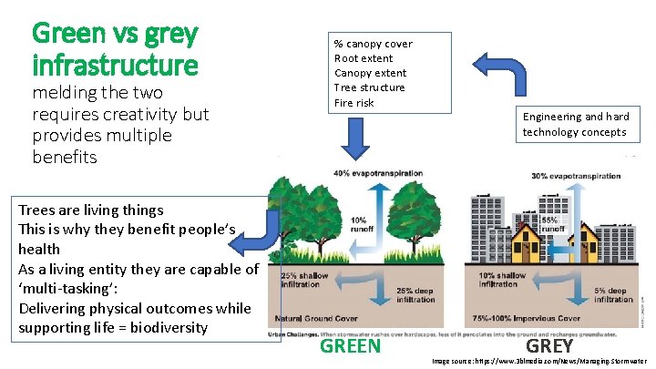 How to achieve bonus biodiversity benefits from your