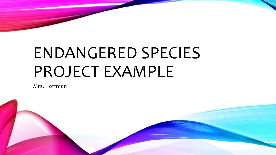 ENDANGERED SPECIES PROJECT EXAMPLE Mrs Hoffman WHERE IS