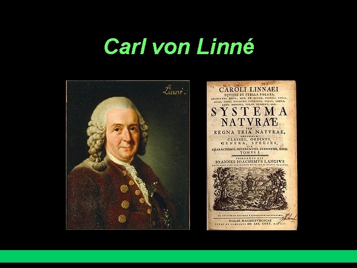 Evolutionsteorien Tak til Naturhistorisk Museum for billeder og