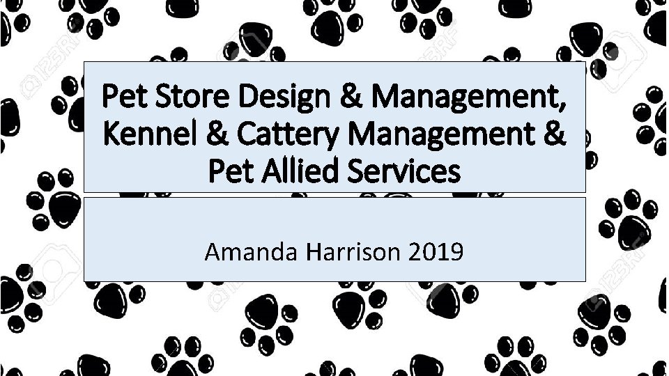 Pet Store Design Management Kennel Cattery Management Pet