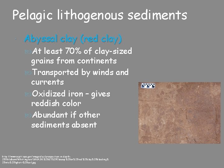 Marine sediments Eroded rock particles and fragments Transported