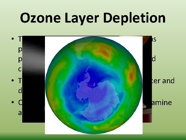 Human Impact on the Biosphere Two Sources of