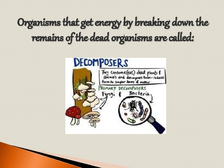 Ecology Test Review Natures recyclers Decomposers Food Chain